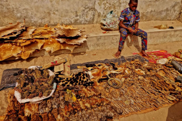 The Five Wise Men of the Voodoo Trail - Journeys Magazine